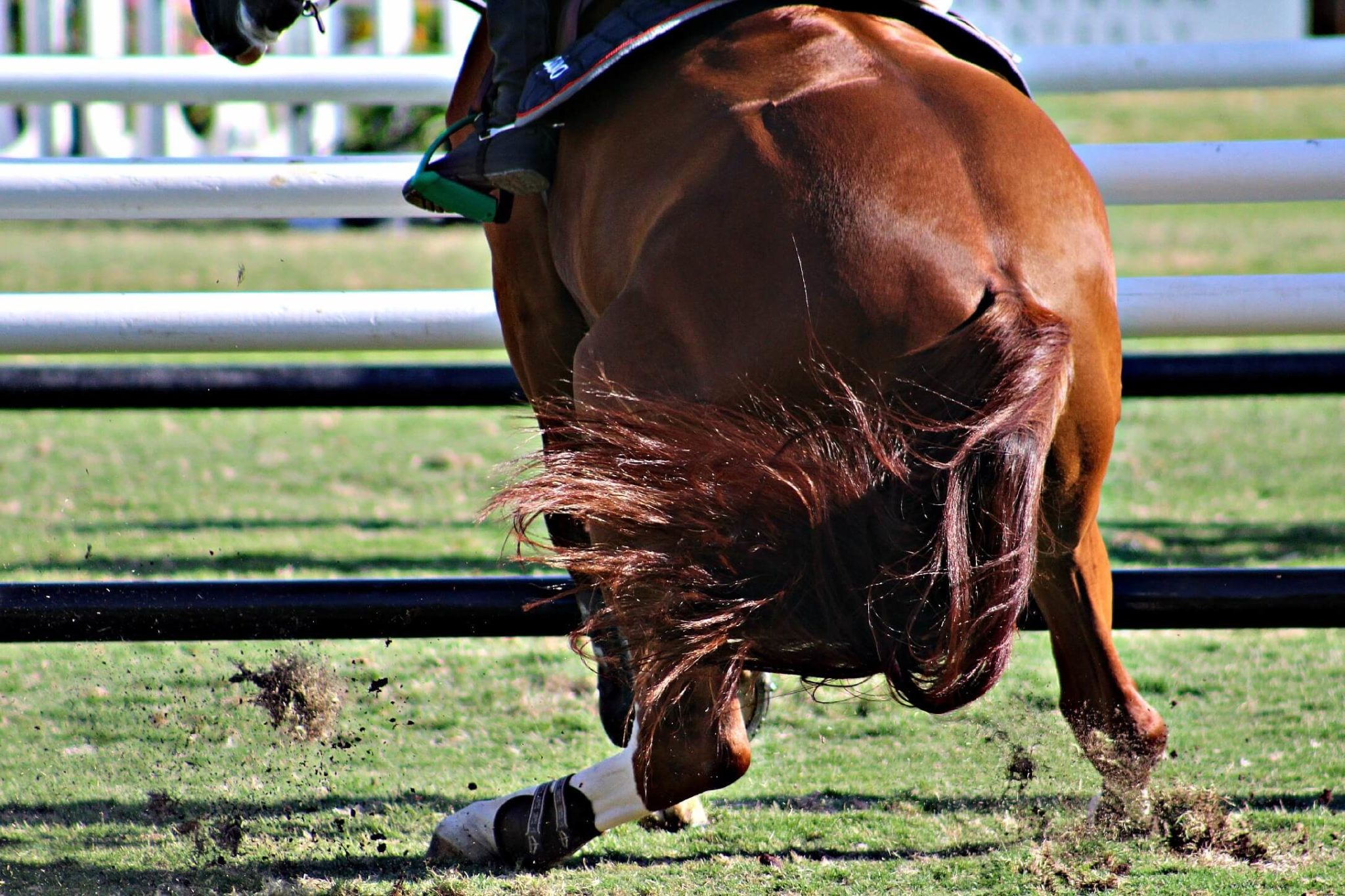 horse refusal | I Love to Watch You Play